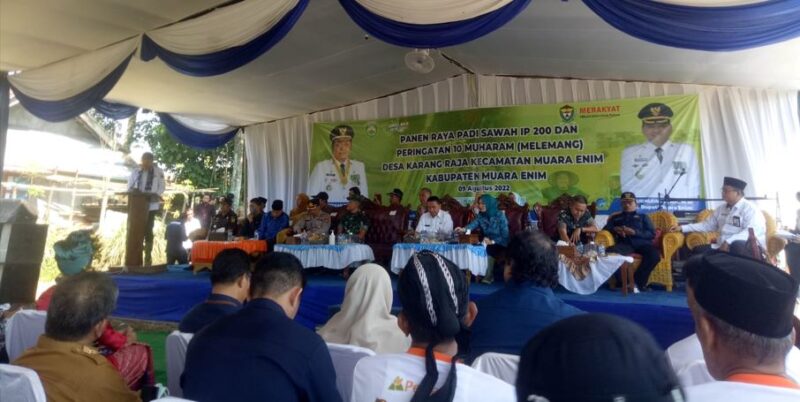 Panen Raya Padi IP200 Desa Karang Raja Muara Enim Sumatera Selatan